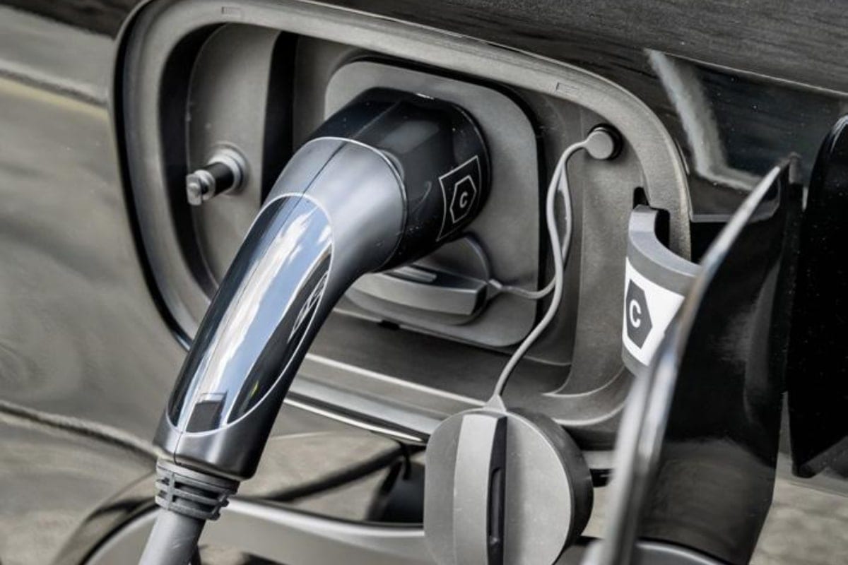 BYD Dolphin - Professional Driver Magazine